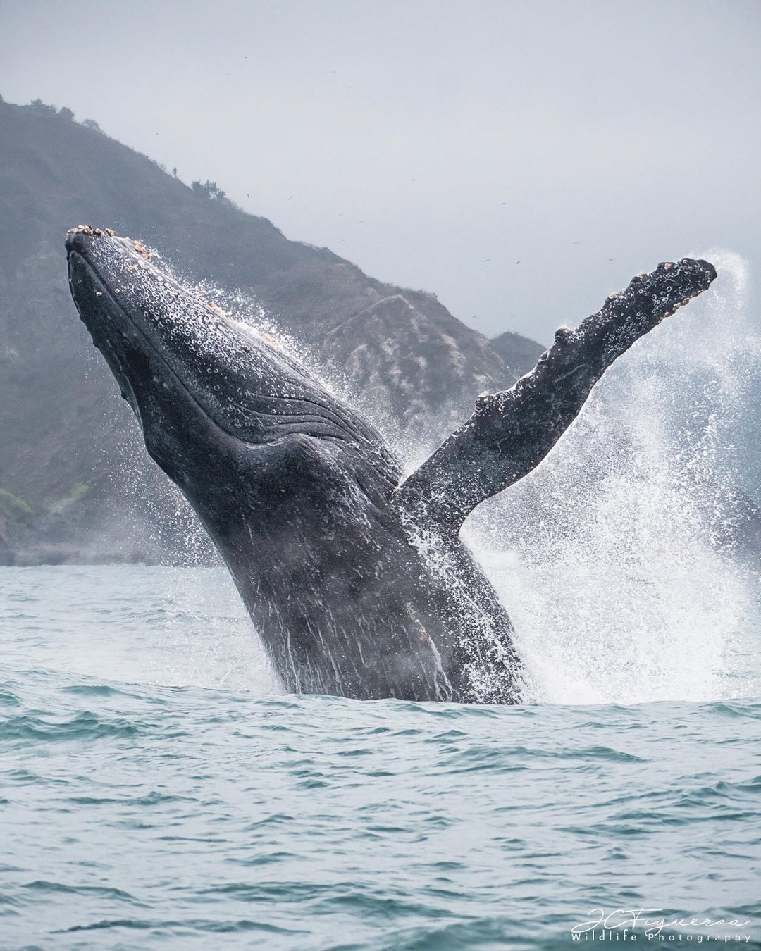Atacames - Gobierno Autónomo Descentralizado de la Provincia de Esmeraldas
